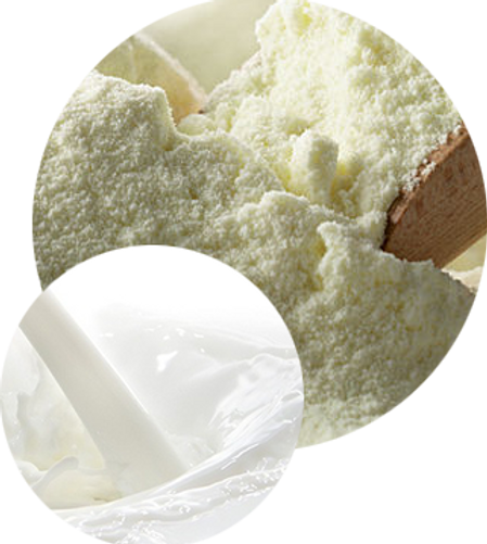 Milk Powder Instant Skim 5KG — Eccolo Foods