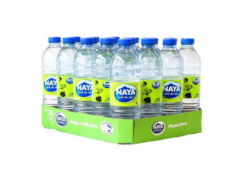 Water Natural Plastic NAYA 24x600ml — Eccolo Foods